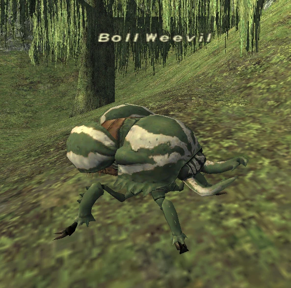Boll Weevil | FFXIclopedia | Fandom