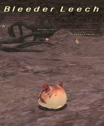 Bleeder Leech | FFXIclopedia | Fandom