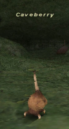 Caveberry | FFXIclopedia | Fandom