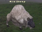 Wild Sheep | FFXIclopedia | Fandom