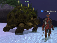 Monster Rearing/Adamantoise | FFXIclopedia | Fandom