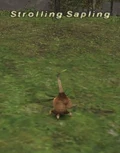 Strolling Sapling | FFXIclopedia | Fandom