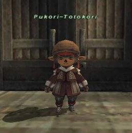Pukori-Totokori | FFXIclopedia | Fandom