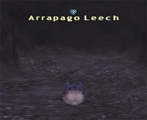 Arrapago Leech | FFXIclopedia | Fandom