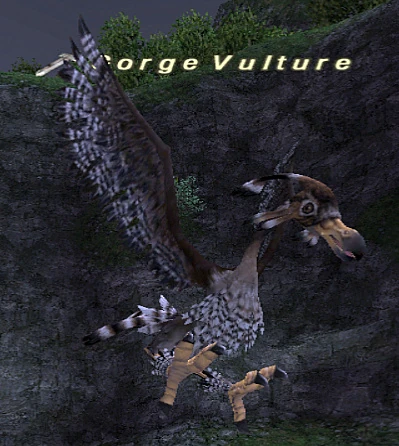 Gorge Vulture | FFXIclopedia | Fandom