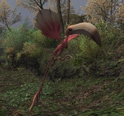 Colibri | FFXIclopedia | Fandom