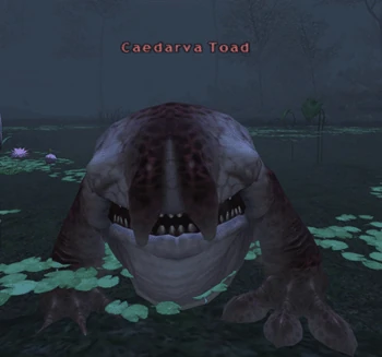 Caedarva Toad | FFXIclopedia | Fandom