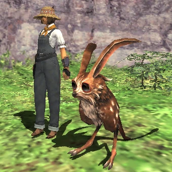 Monster Rearing/Rabbit | FFXIclopedia | Fandom