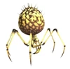 Category:Spiders | FFXIclopedia | Fandom