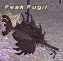Peak Pugil | FFXIclopedia | Fandom