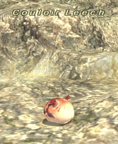 Couloir Leech | FFXIclopedia | Fandom