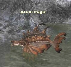 Davoi Pugil | FFXIclopedia | Fandom