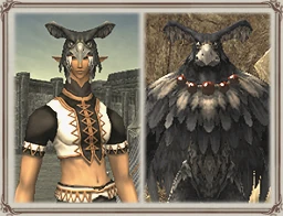 From the Goblin’s Mouth | FFXIclopedia | Fandom