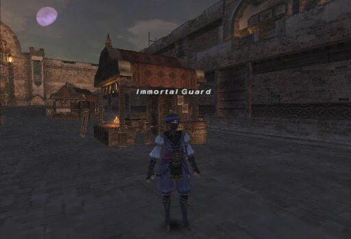 Immortal Guard | FFXIclopedia | Fandom