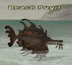 Beach Pugil | FFXIclopedia | Fandom