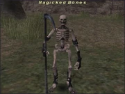 Magicked Bones | FFXIclopedia | Fandom
