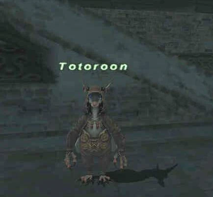 Totoroon | FFXIclopedia | Fandom