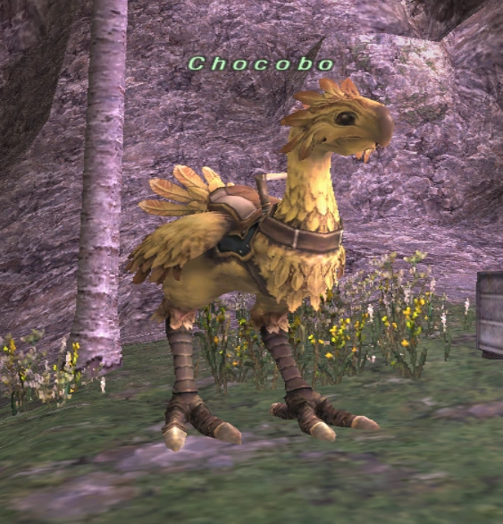 Chocobo (A) | FFXIclopedia | Fandom