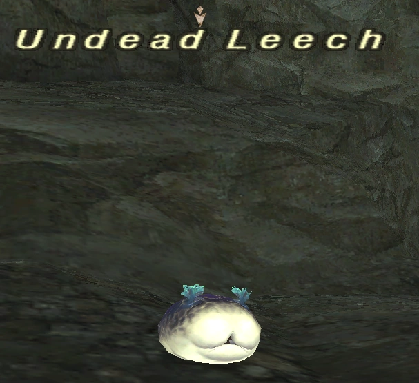 Undead Leech | FFXIclopedia | Fandom