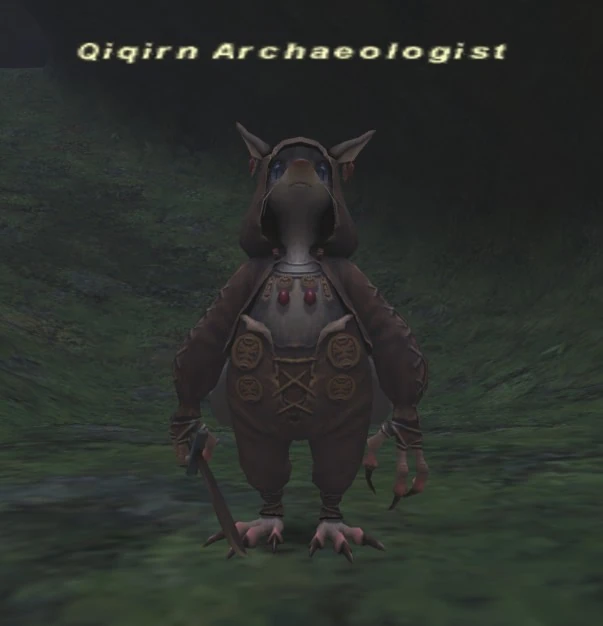 Qiqirn Archaeologist | FFXIclopedia | Fandom
