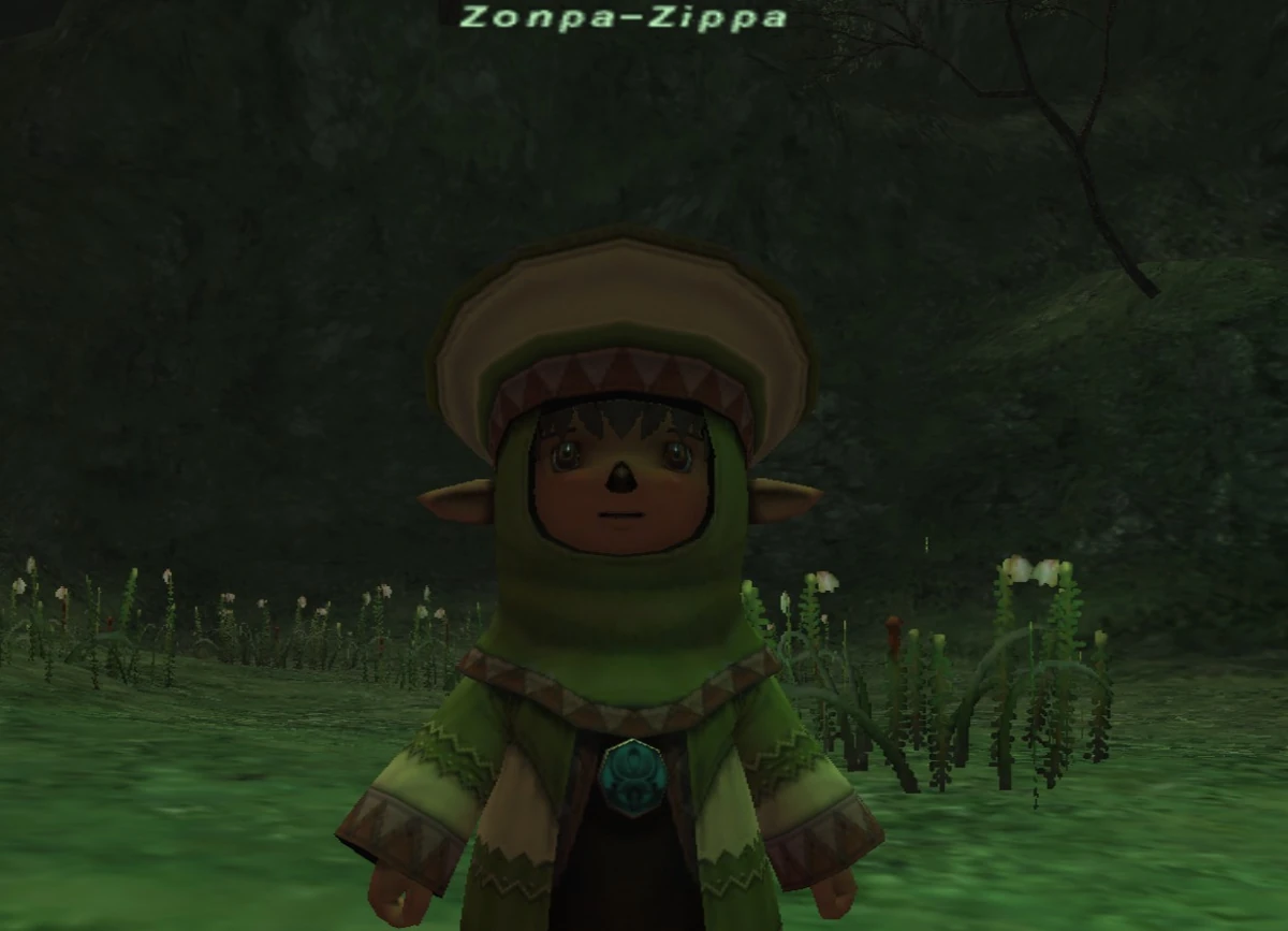 Zonpa-Zippa | FFXIclopedia | Fandom