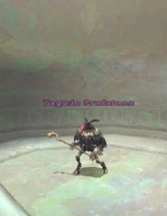 Yagudo Prelatess | FFXIclopedia | Fandom