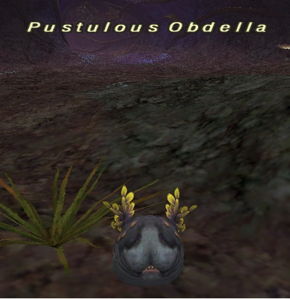 Pustulous Obdella | FFXIclopedia | Fandom