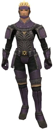 Dusk Jerkin Set | FFXIclopedia | Fandom
