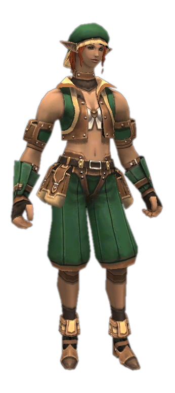 Rogue's Attire Set | FFXIclopedia | Fandom