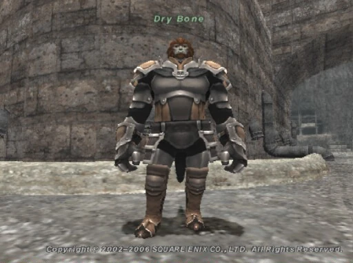 Dry Bone | FFXIclopedia | Fandom