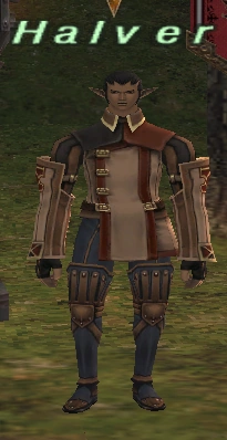 Halver (A) | FFXIclopedia | Fandom