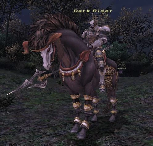 Dark Rider | FFXIclopedia | Fandom