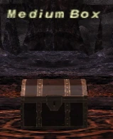 Medium Box | FFXIclopedia | Fandom