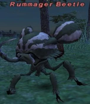 Rummager Beetle | FFXIclopedia | Fandom
