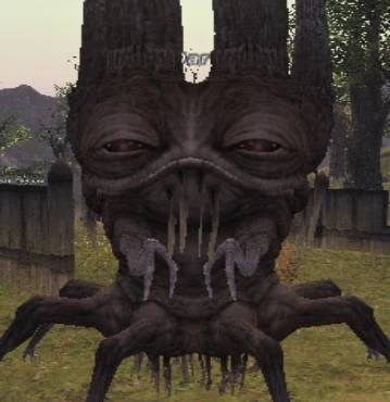 Darach | FFXIclopedia | Fandom