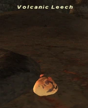 Volcanic Leech | FFXIclopedia | Fandom