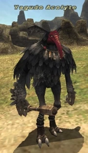 Yagudo Acolyte | FFXIclopedia | Fandom