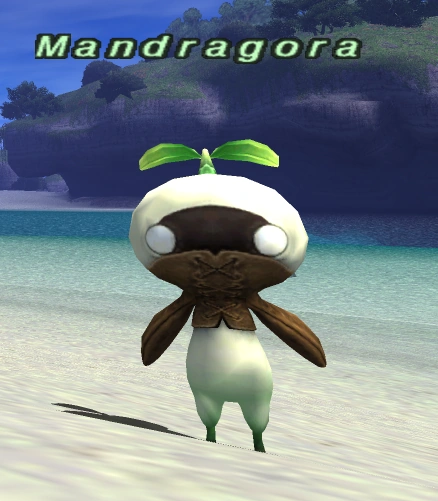 Monster Rearing/Mandragora | FFXIclopedia | Fandom