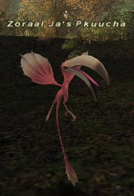 Zoraal Ja's Pkuucha | FFXIclopedia | Fandom