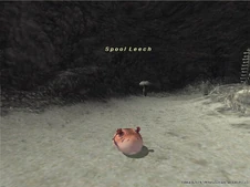 Spool Leech | FFXIclopedia | Fandom