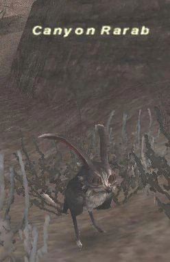 Canyon Rarab | FFXIclopedia | Fandom