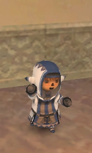 Combat Caster's Cloak Set | FFXIclopedia | Fandom