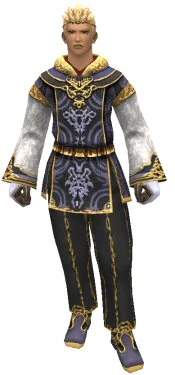 Noble's Tunic Set | FFXIclopedia | Fandom