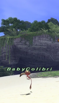 Monster Rearing/Baby Colibri | FFXIclopedia | Fandom