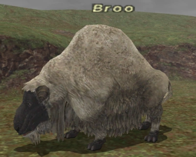 Broo | FFXIclopedia | Fandom