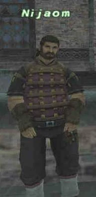 Nijaom | FFXIclopedia | Fandom