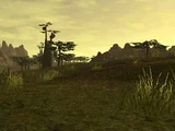 Category:Sarutabaruta | FFXIclopedia | Fandom
