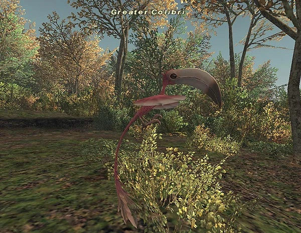 Greater Colibri | FFXIclopedia | Fandom