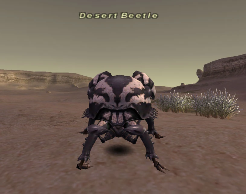 Desert Beetle | FFXIclopedia | Fandom