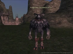 Yagudo Condottiere | FFXIclopedia | Fandom